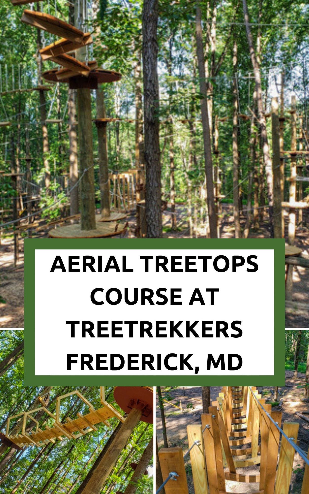 Climbing Through the Trees at TreeTrekkers Frederick