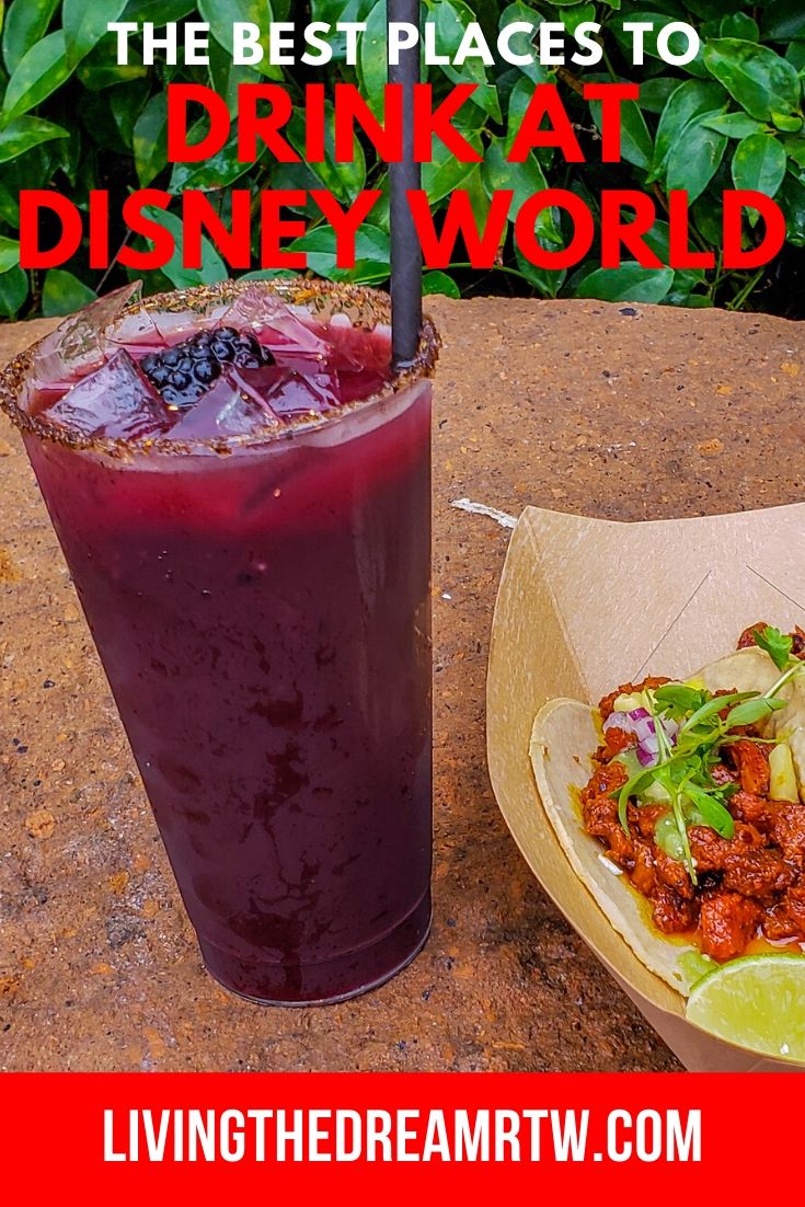 5 of the Best Places to Enjoy an Adult Drink at Disney World