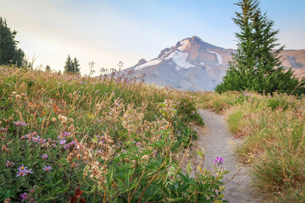 Hiking the Pacific Crest Trail - A Long-Distance Adventure