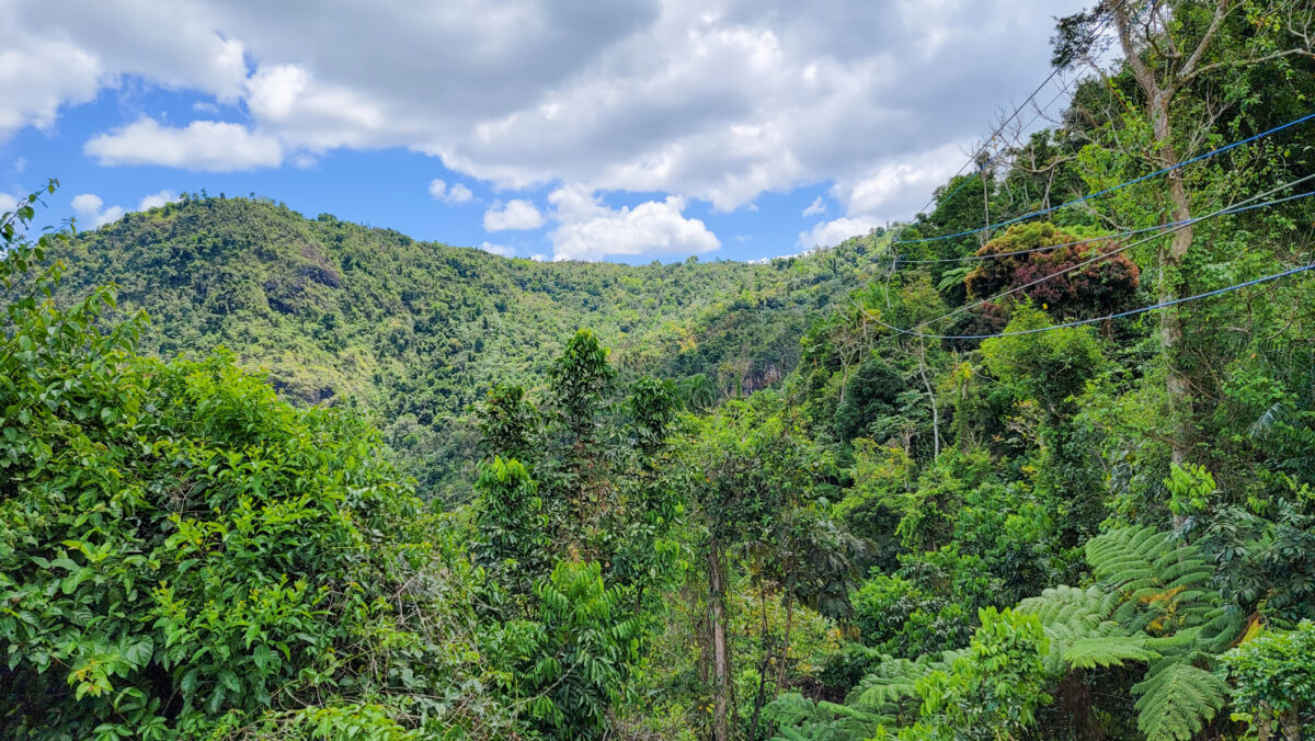 ToroVerde and El Monstruo Zipline in Puerto Rico Are a Must