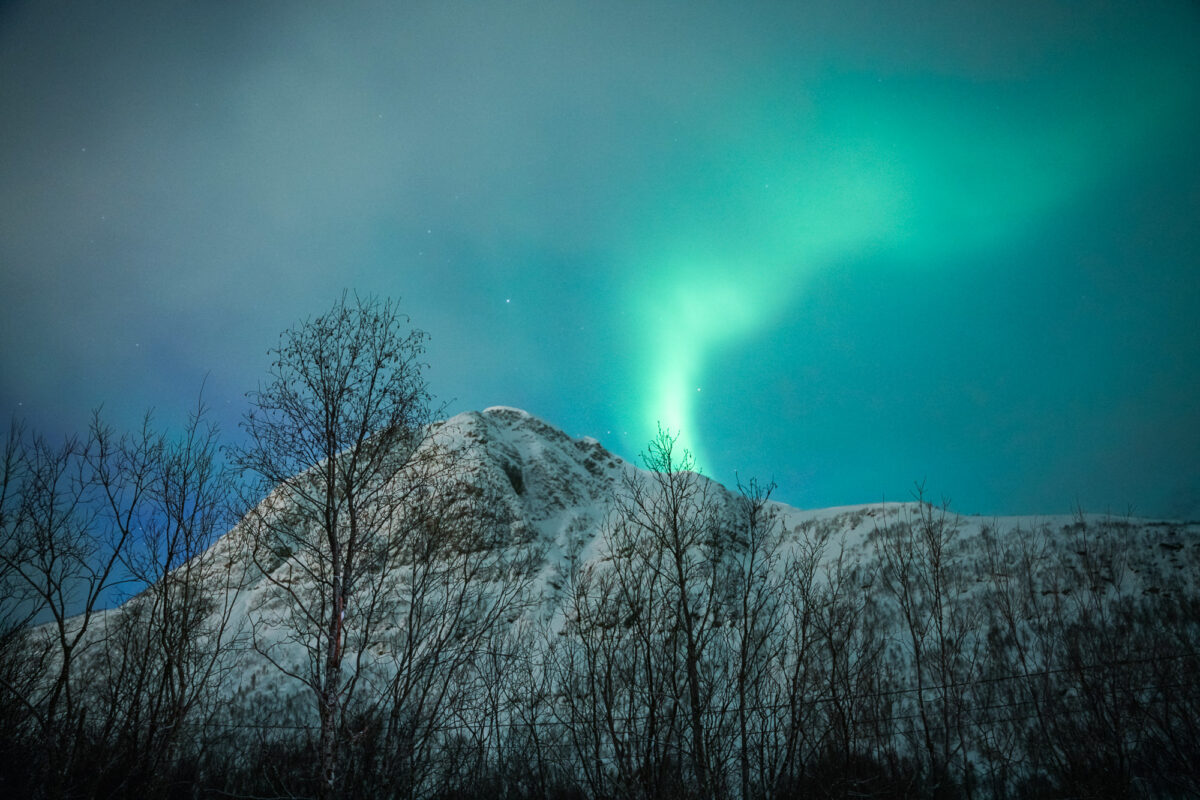 Should You Take a Bus or Van Tromso Aurora Borealis Tour?