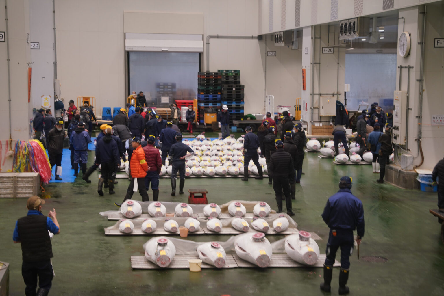 How to Visit the Tuna Auction at the Toyosu Fish Market